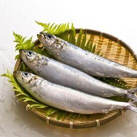 鰯（いわし） | タグ（食・料理） | オリーブオイルをひとまわし